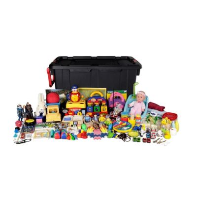 (ADOS®-2) Autism Diagnostic Observation Schedule, Second Edition