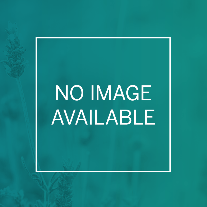 (Conners 4™) Conners Fourth Edition