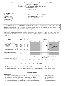 (NAS-PI™) Novaco Anger Scale and Provocation Inventory™