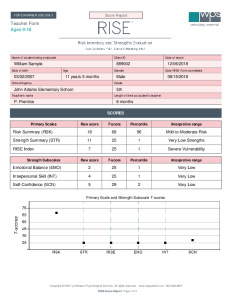 (RISE Assessment) Risk Inventory and Strengths Evaluation